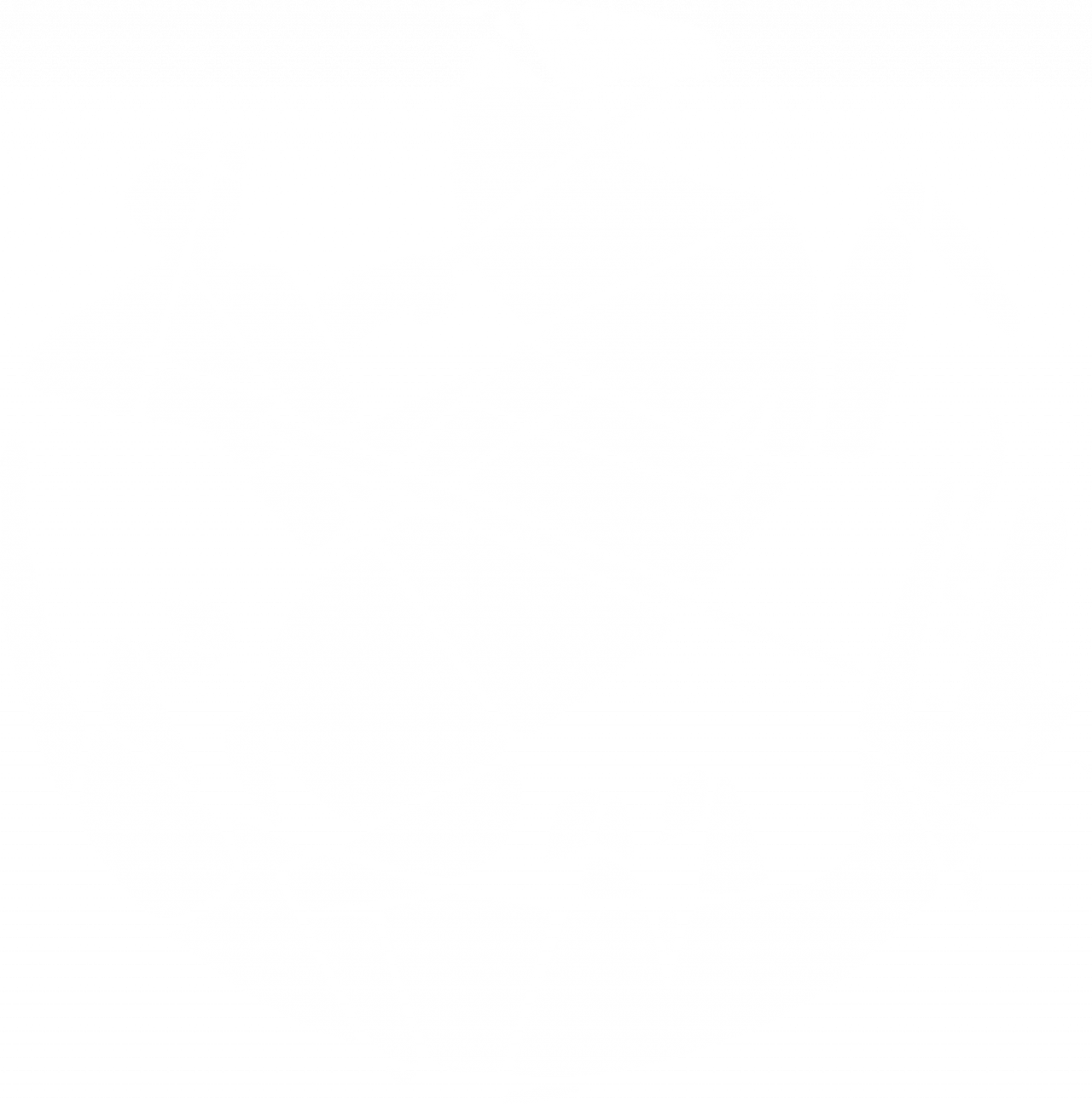 MOVE: Verkehrsinformationen auf WhatsApp – Jetzt folgen und informieren! | TSG